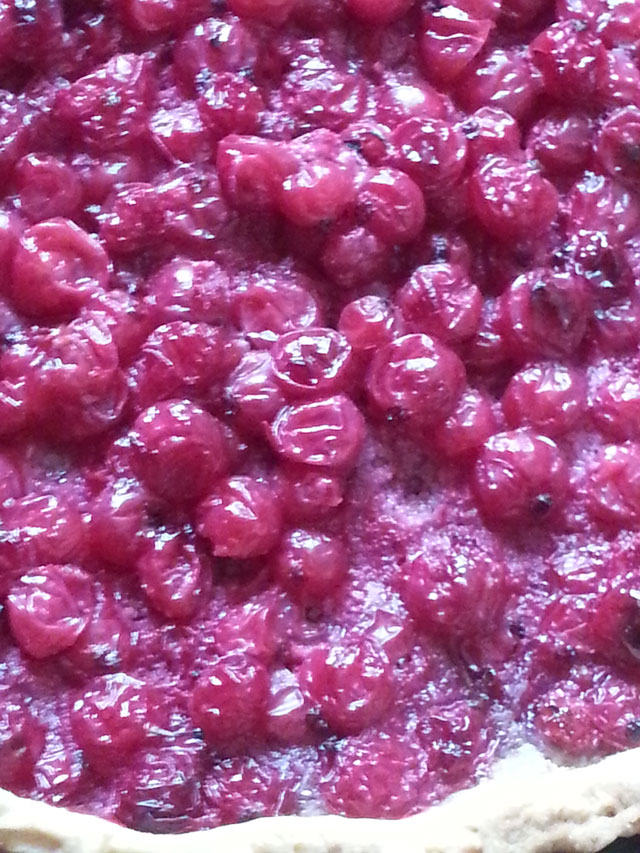 Tarte aux groseilles - Le blog de la mère Pierre